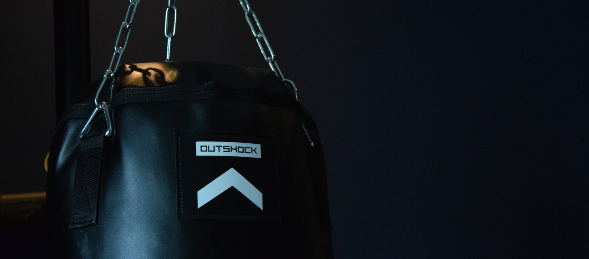 24+ Migliori Sacchi da Boxe: Guida alla scelta 2022 • Rews!