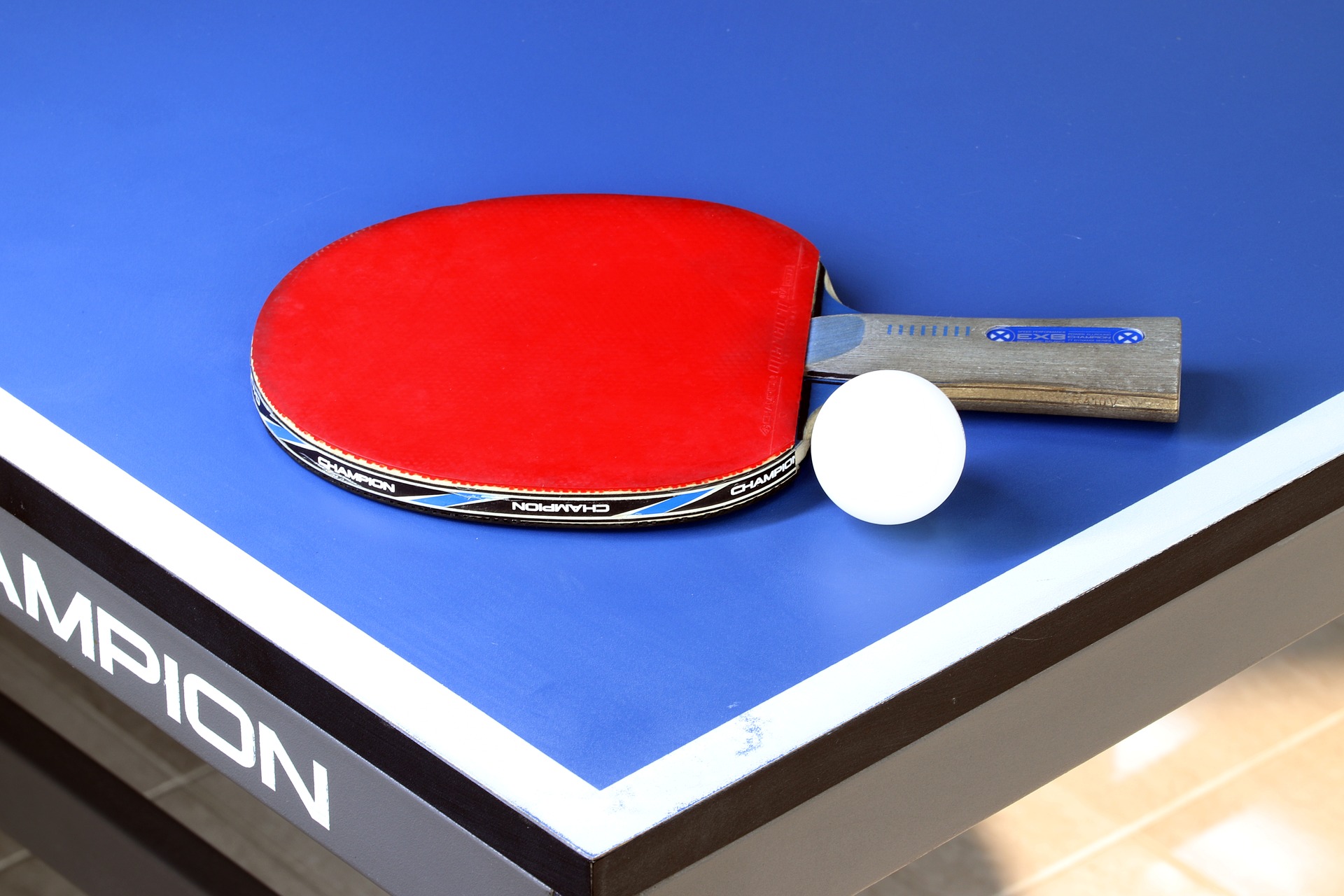 21+ Migliori Tavoli da Ping Pong: Guida alla scelta 2022 • Rews!